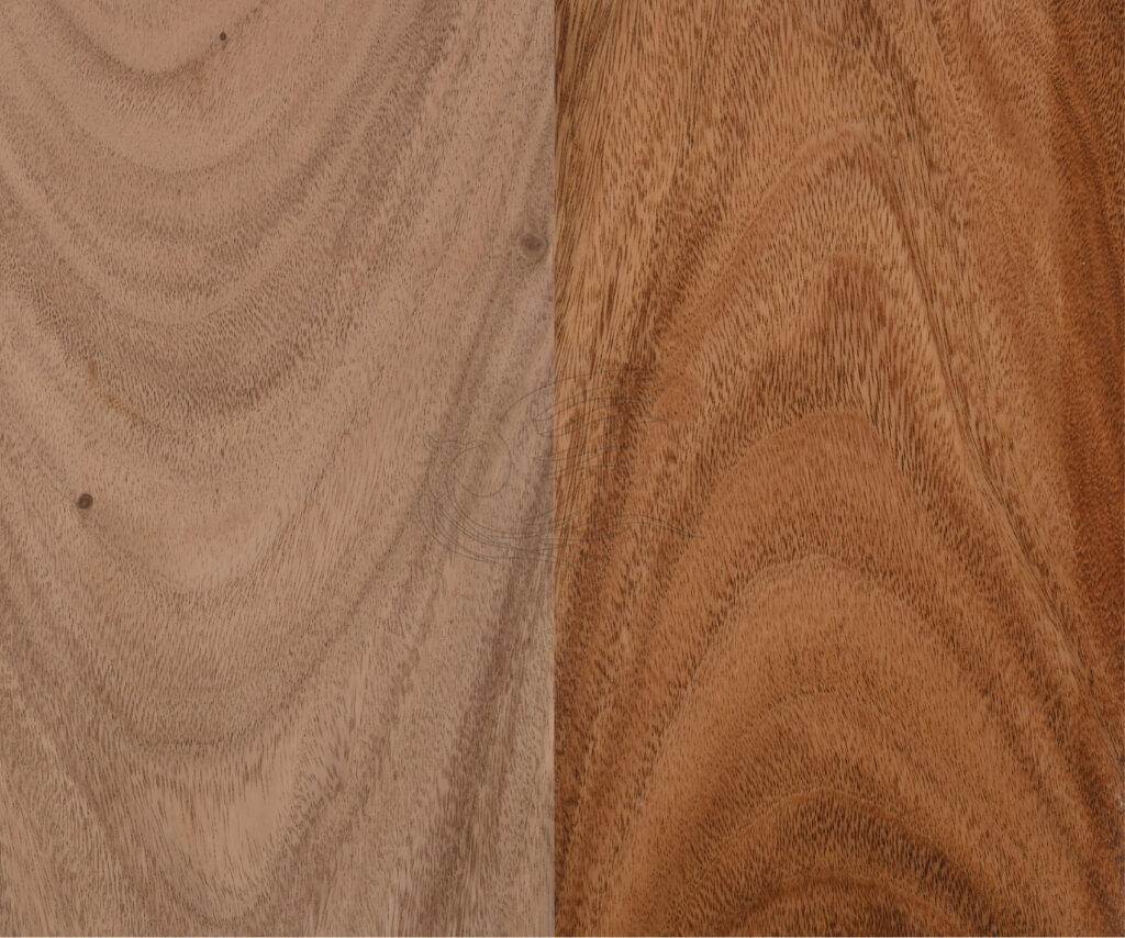 ME TÂY - TIMBER PHOENIX