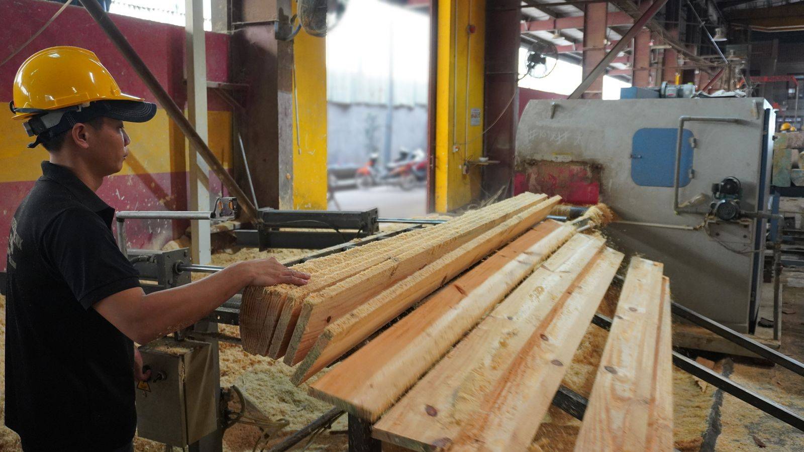 Saws – Sawing - TIMBER PHOENIX