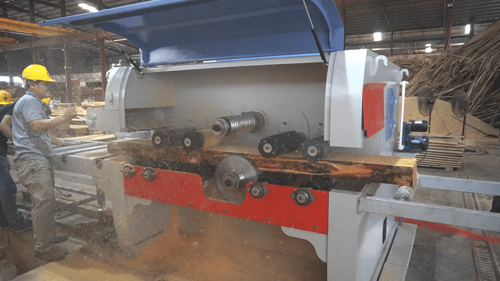 Saws – Sawing - TIMBER PHOENIX