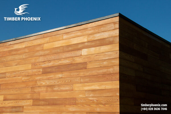 Cladding là gì? Định nghĩa, đặc điểm và ứng dụng